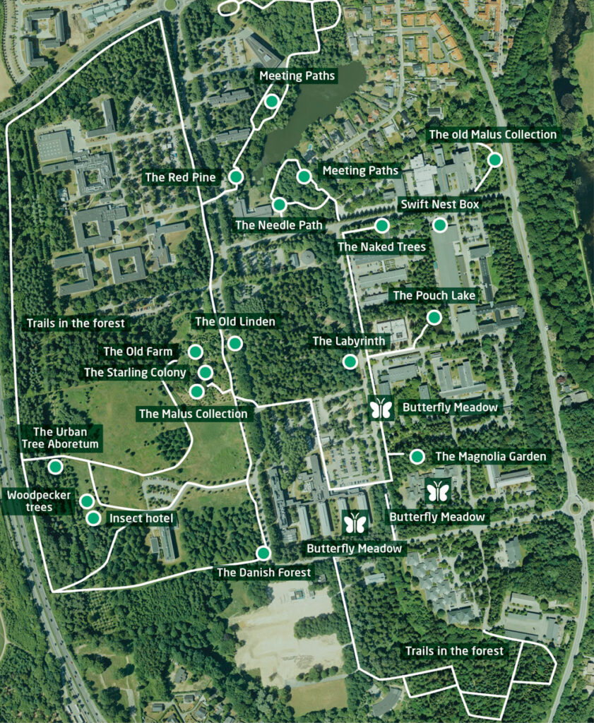 Green attractions - DTU Science Park